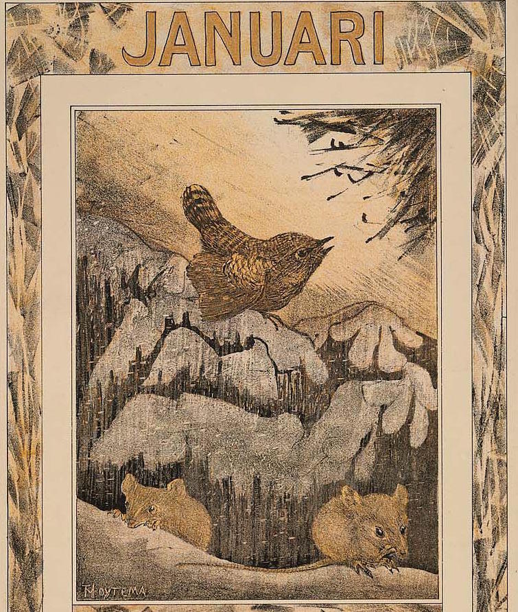 Passing Fancies ~ January 2021 – PERFUME PROFESSOR