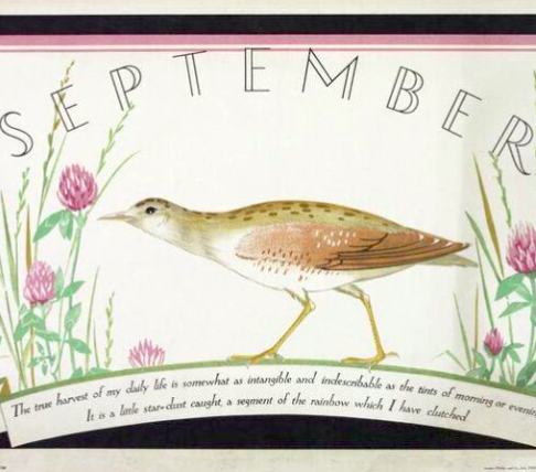 Passing Fancies ~ September 2022 – PERFUME PROFESSOR