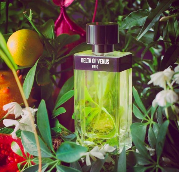 My Favorite Heat-Wave Perfumes – PERFUME PROFESSOR