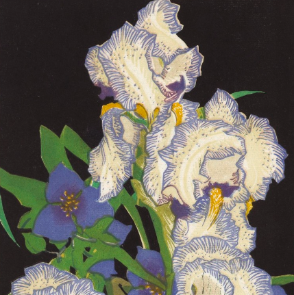 Perfume Reviews: 3 Irises – PERFUME PROFESSOR
